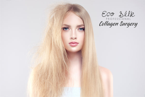 Collagen Surgery Collection – Eco Silk Professional